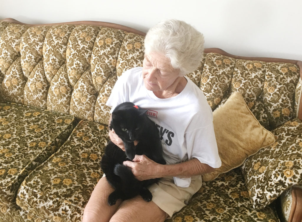 After nearly a month, missing cat found in neighbor's wall - Lumina News